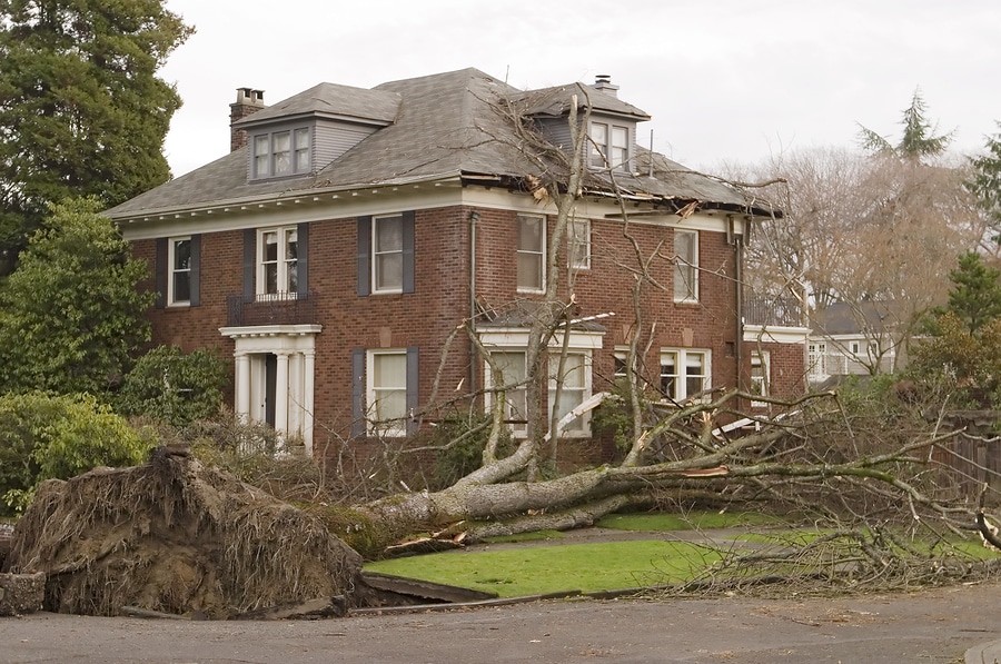 Inspecting Your Home For Storm Damage | Damage Restoration Indianapolis