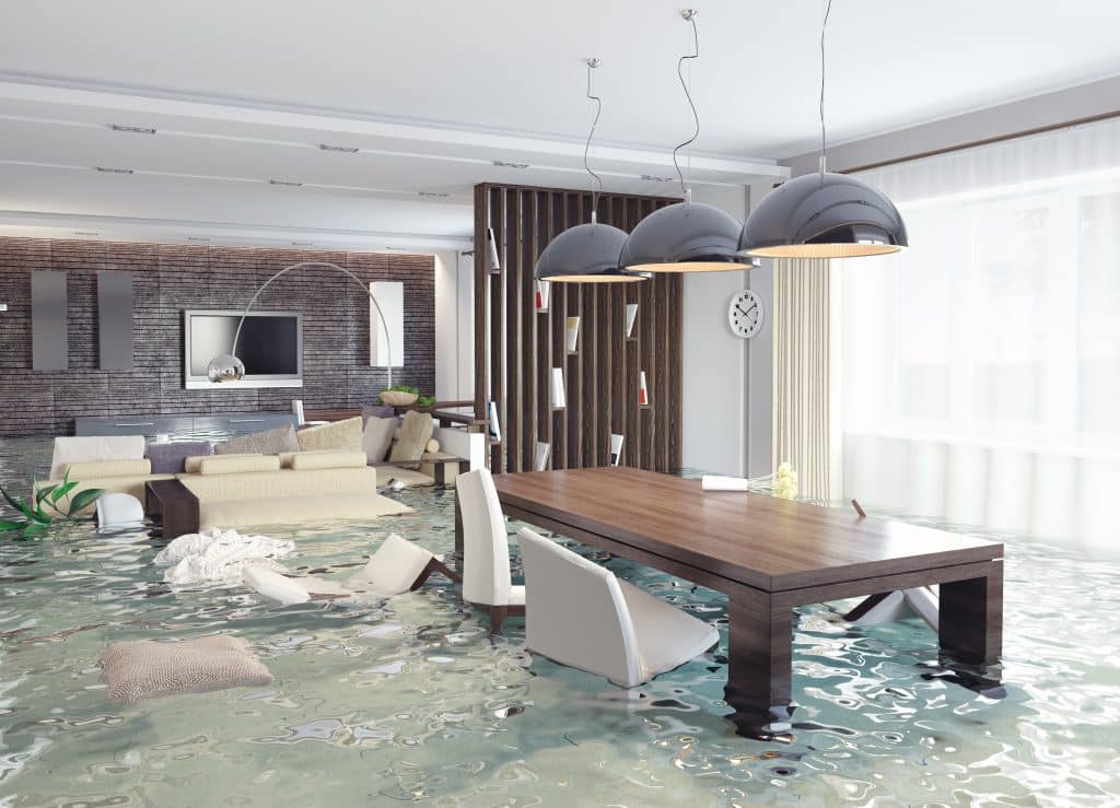 3 Things to Know About Water Damage